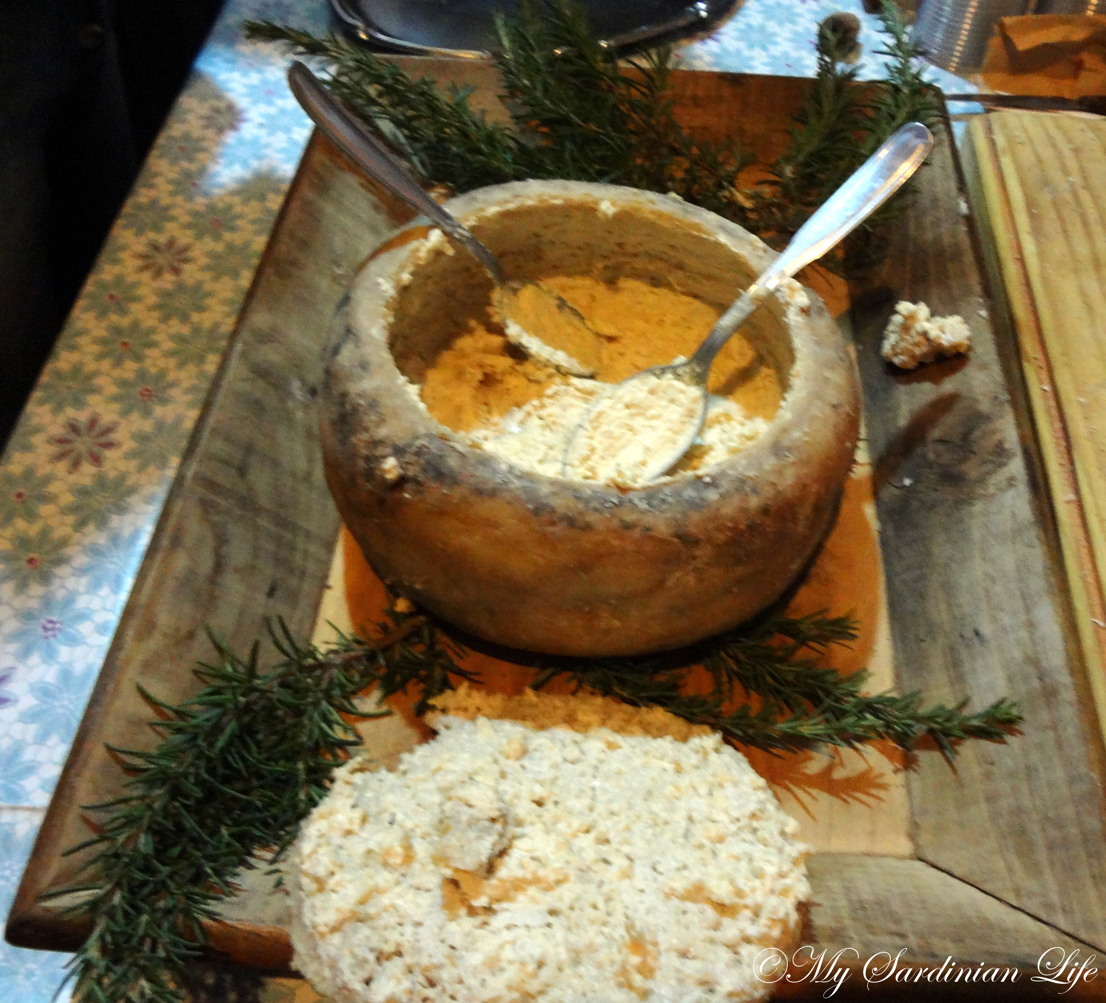 Eerie Food from Sardinia – Casu Marzu | My Sardinian Life